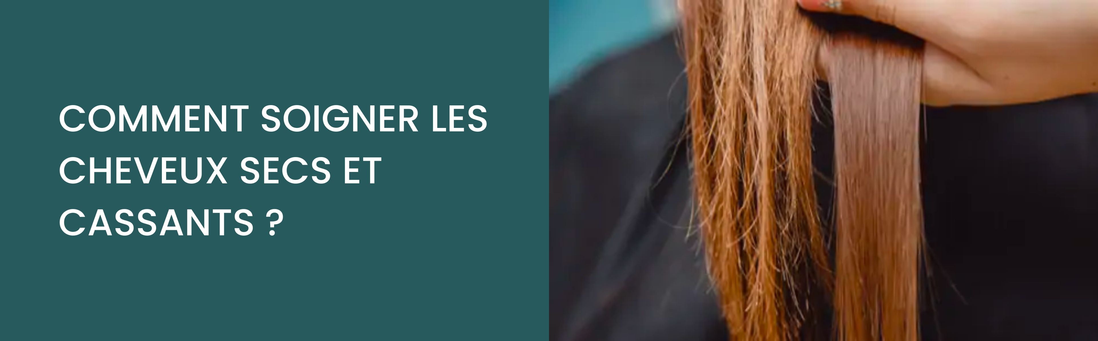 Comment soigner les cheveux secs et cassants